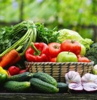 Free food distributions and resources - South Florida on the Cheap