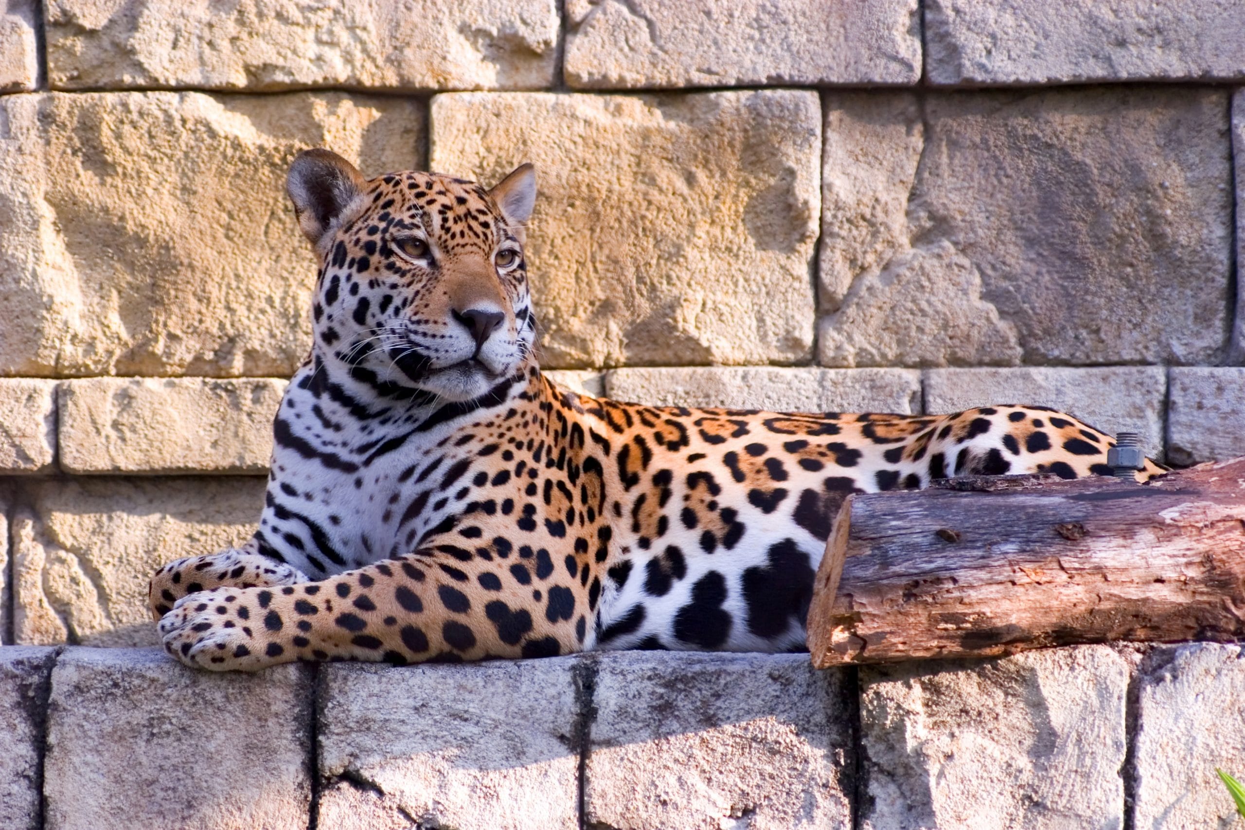 Free Palm Beach Zoo Admission for Kids in August