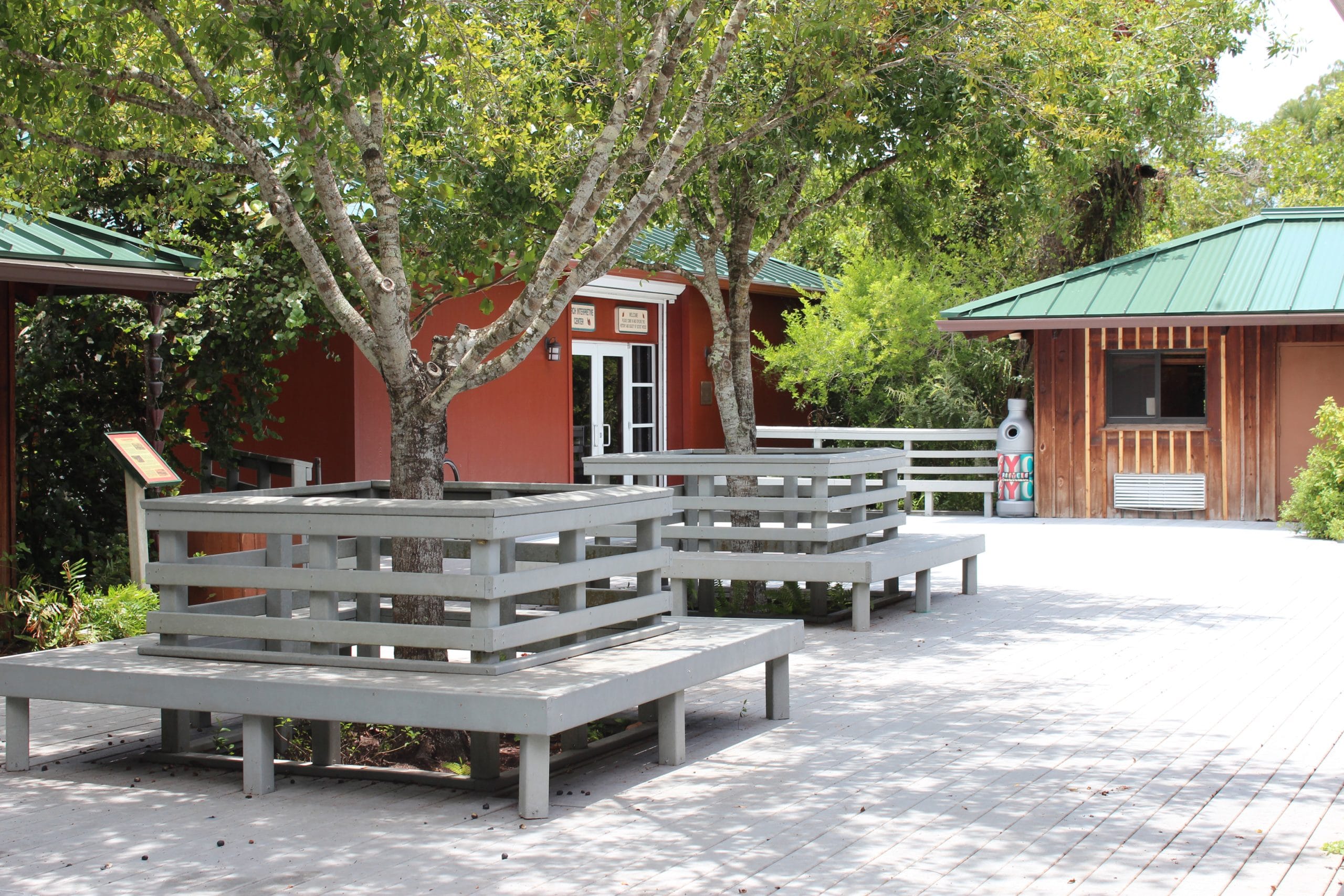 Secret Woods in Dania offers nature walks - South Florida on the Cheap