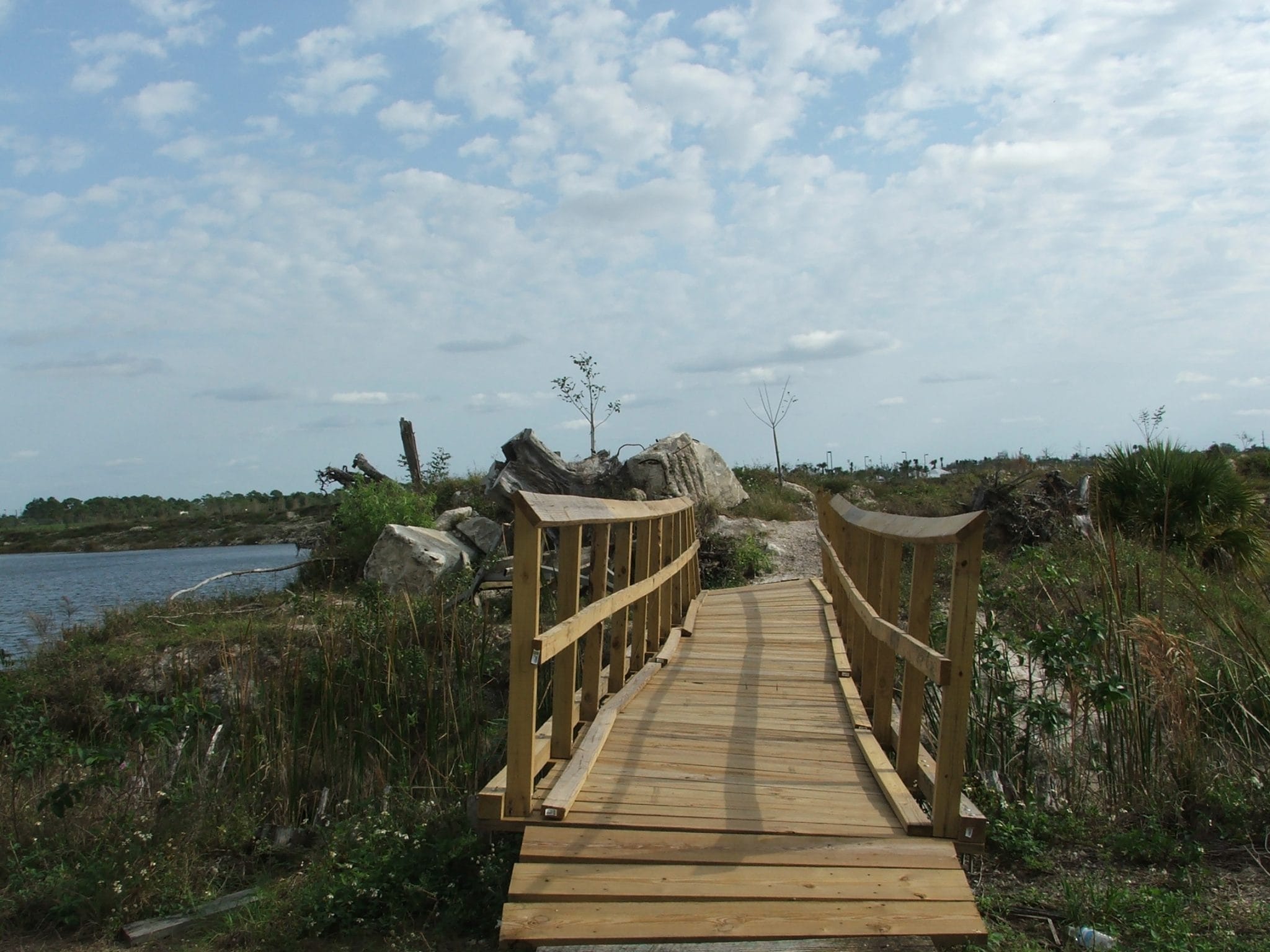 Nature excursions: Pick your favorite urban oasis - South Florida on ...
