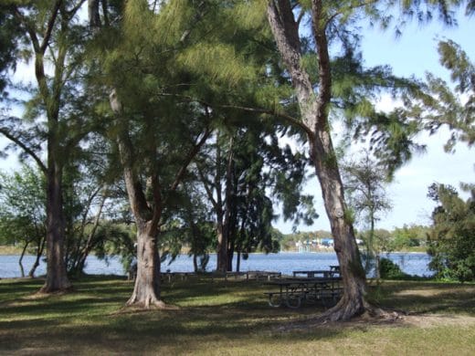 TY Park in Hollywood offers walking path with lake and oaks - South ...