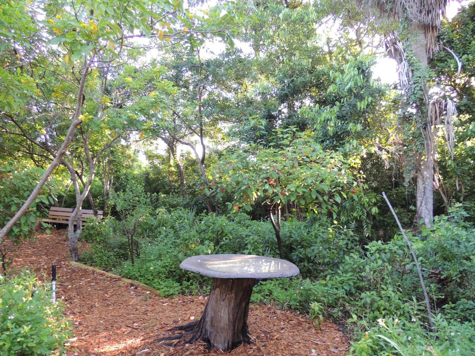 Get away from it all at these South Florida nature spots - South ...