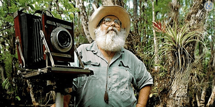 Naturalist-guided Dry Swamp Walking Tours, Big Cypress - South Florida ...