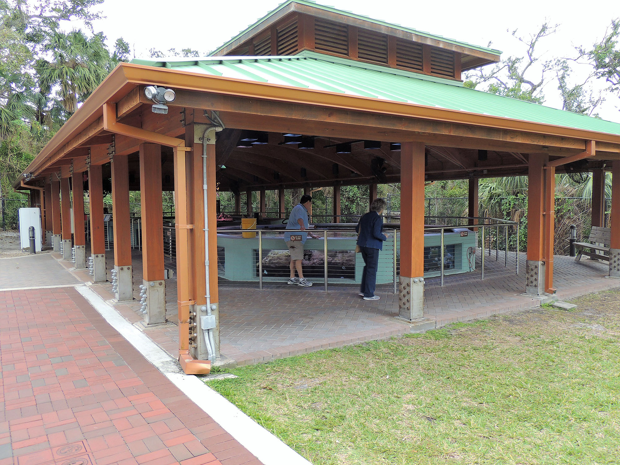 Free admission to Gumbo Limbo Nature Center with turtles, trails and ...