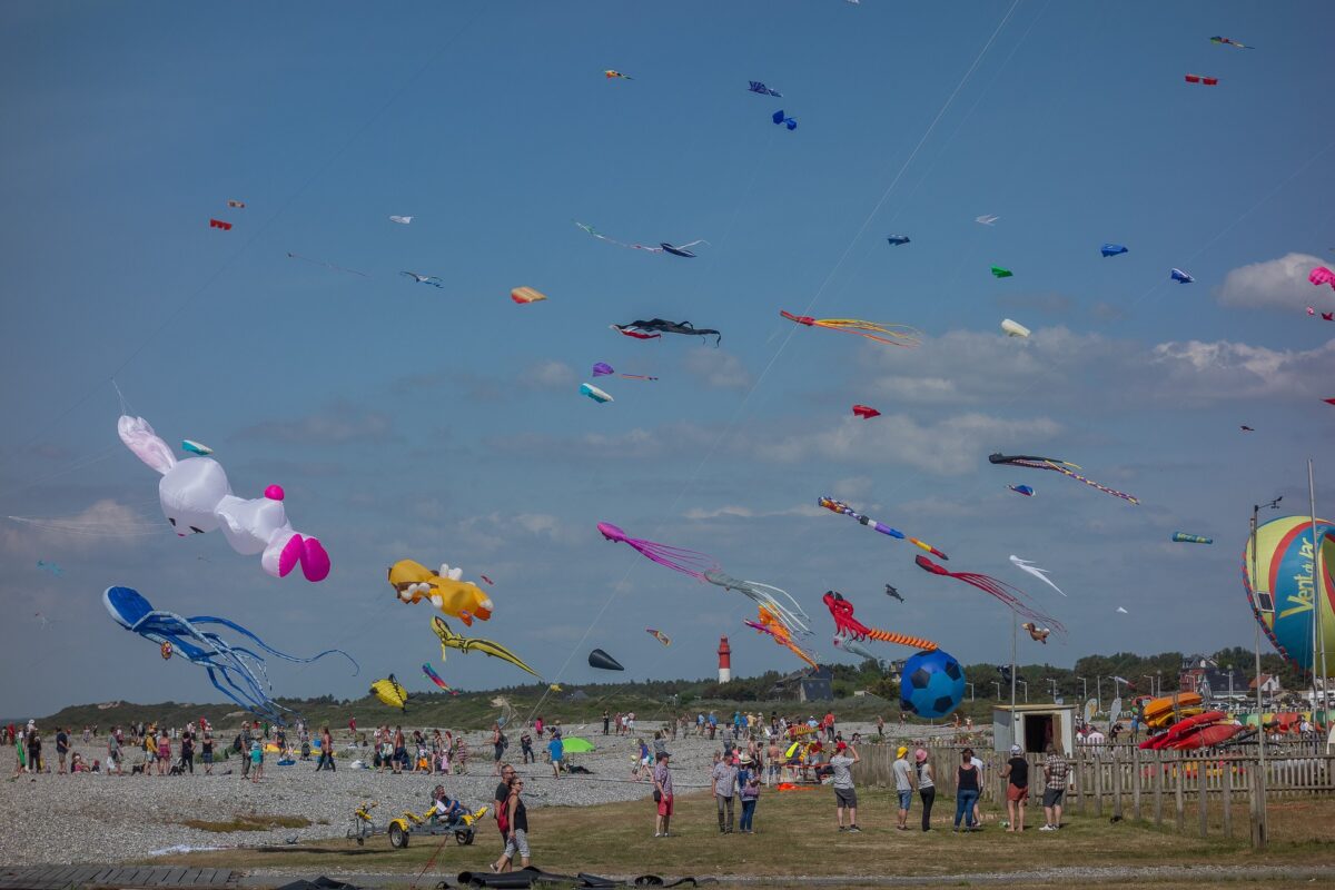 Free Kite Days Festival at Haulover Park - South Florida on the Cheap
