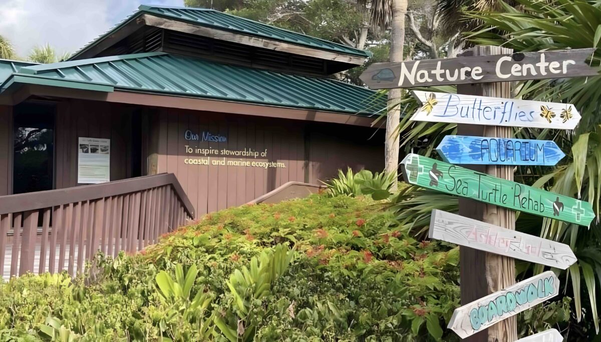 Gumbo Limbo Nature Center: A Family Adventure - South Florida on the Cheap