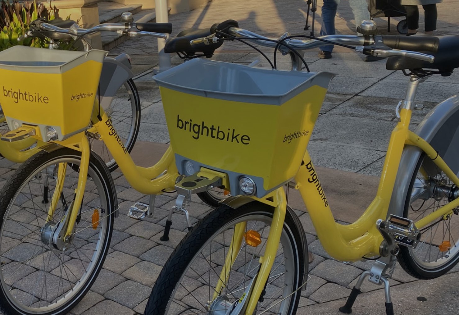 Free: Rolling Art Tour, West Palm Beach - South Florida on the Cheap