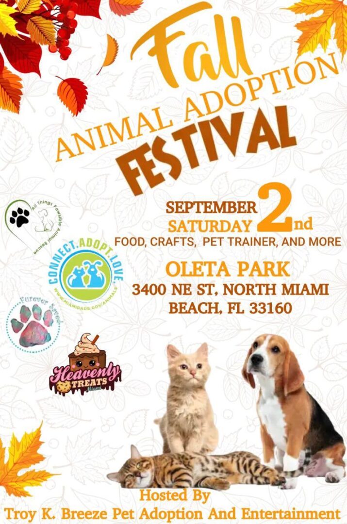 Fall Pet Adoption Festival, Saturday, Oleta Park - South Florida on the ...