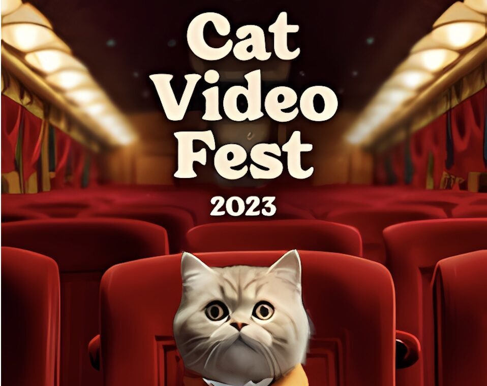 'Cat Video Fest 2023,' Lake Worth Playhouse - South Florida on the Cheap