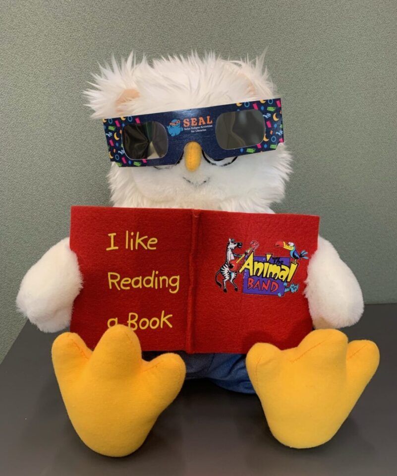 Free and cheap things to do for Spring Break in Broward - South Florida ...