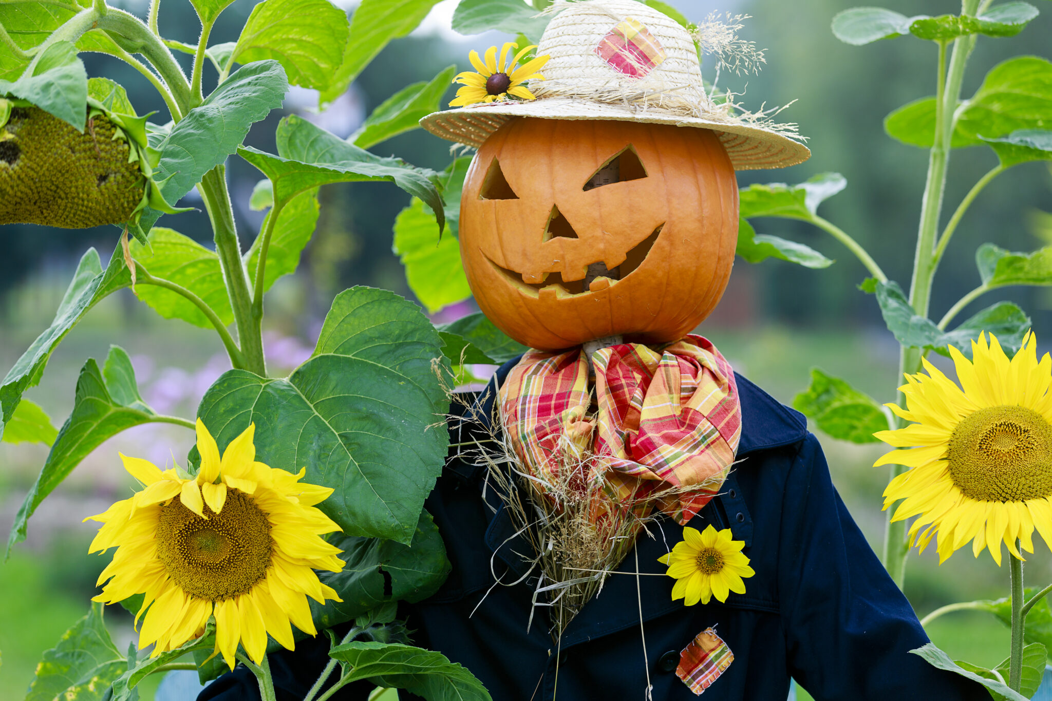 Spookyville: A Family Halloween Experience