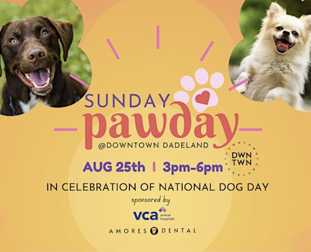 Celebrate National Dog Day with Your Furry Friends