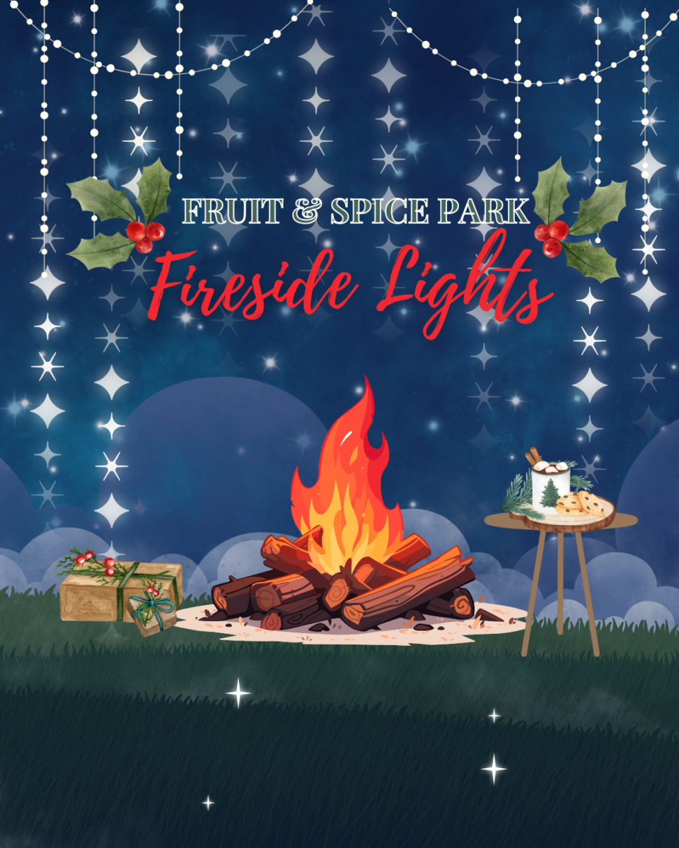 Where to see holiday lights in Miami-Dade - South Florida on the Cheap