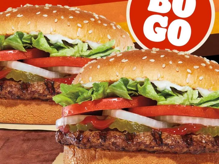 South Florida on the Cheap - discounts, deals and free events in Miami ...