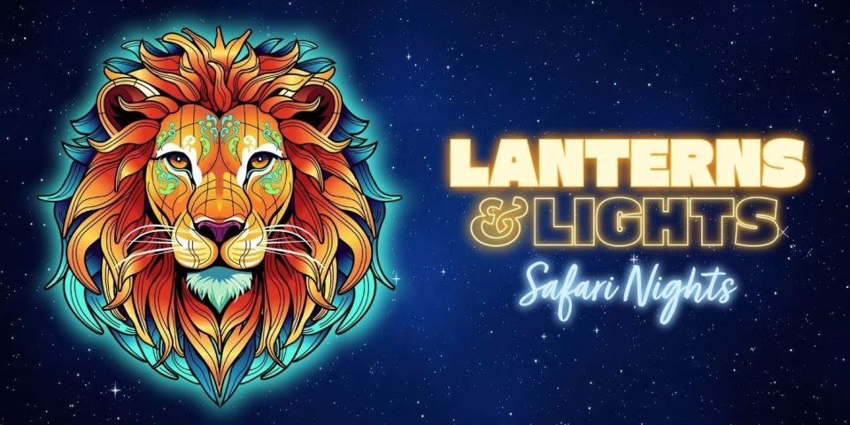 Lion Country Safari: A Unique Lantern Festival - South Florida on the Cheap