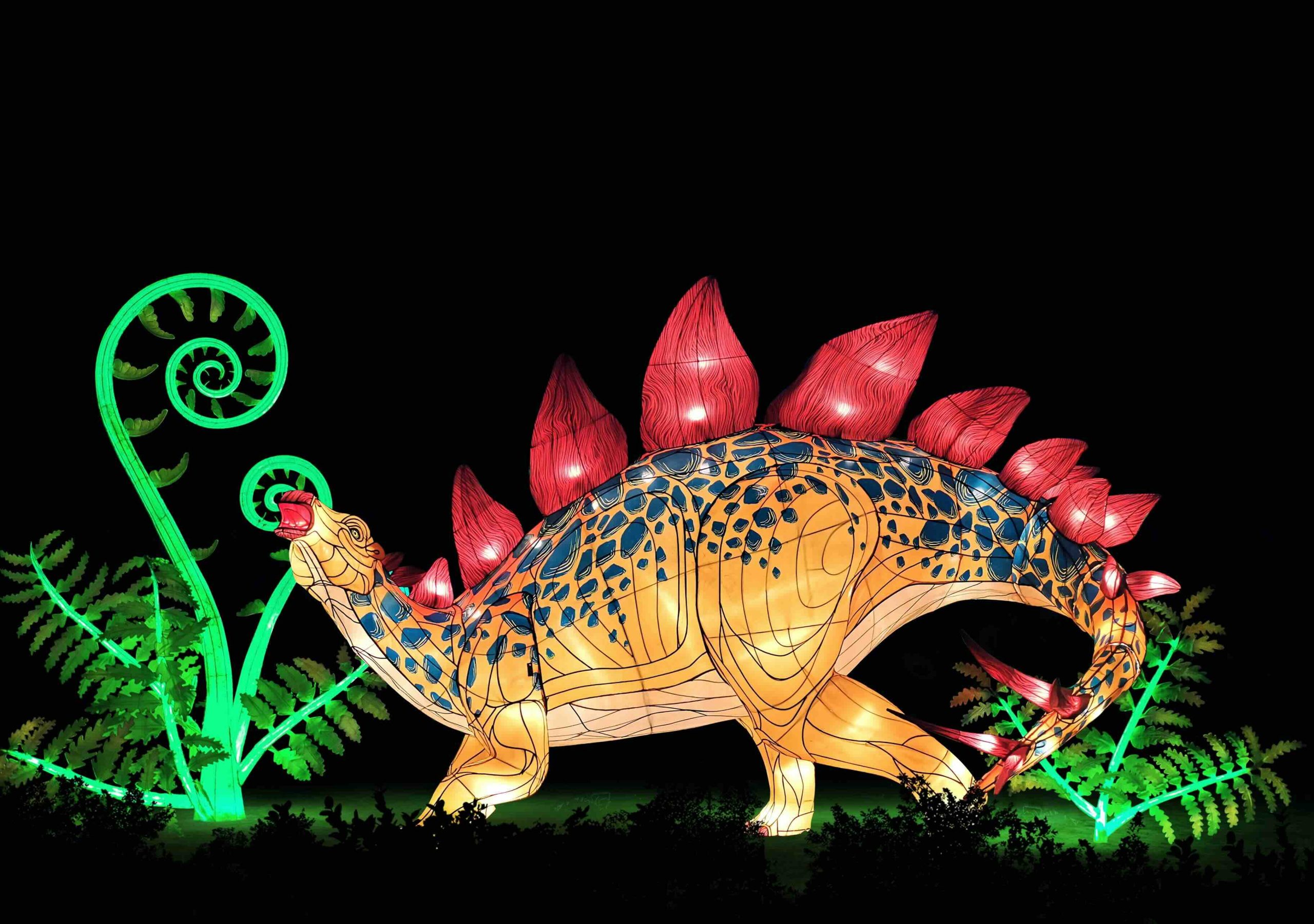Lion Country Safari: A Unique Lantern Festival - South Florida on the Cheap