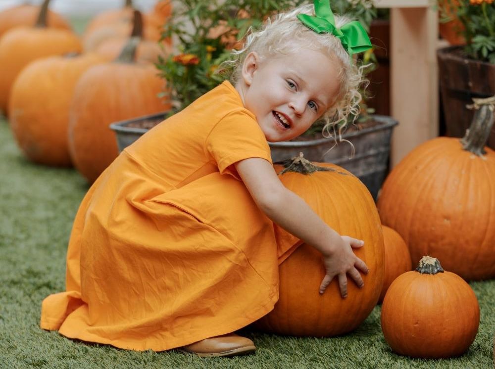 Pumpkin Patch: Pick Your Perfect Pumpkin - South Florida on the Cheap