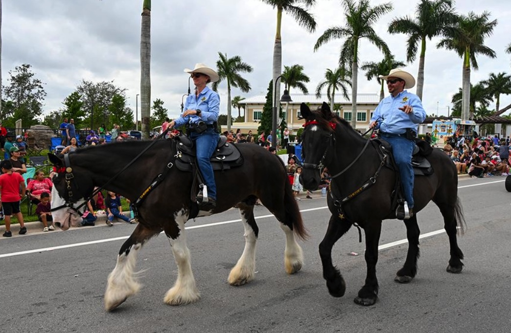 Marching bands and lots of music in Wellington Holiday Parade